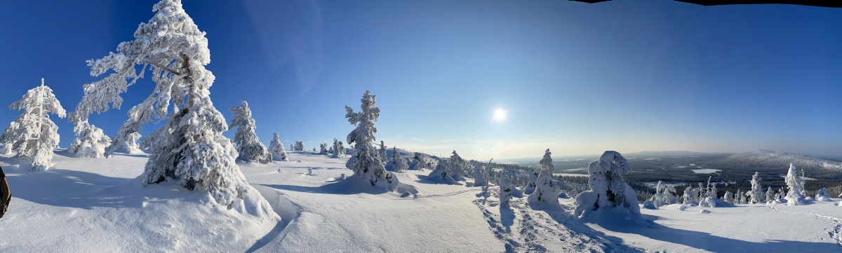 Lappland: Welch Glanz hinter der Hütte!